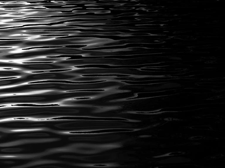 NorCal shark attack victim ID'd wearing 'shark band' on ankle: Report