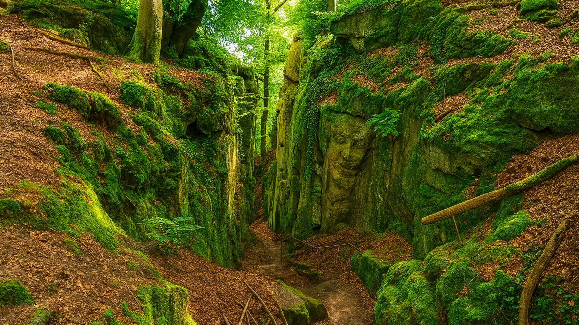 Teufelsschlucht trail, Germany: A walk through the Devil’s Gorge