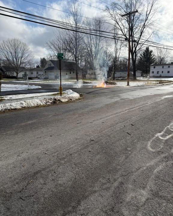 Gallery: Streets littered with fallen trees, snapped wires as raging ...