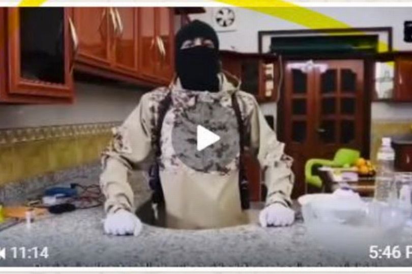 Terror plot shock as Texas man, 21, charged with aiding ISIS after ...