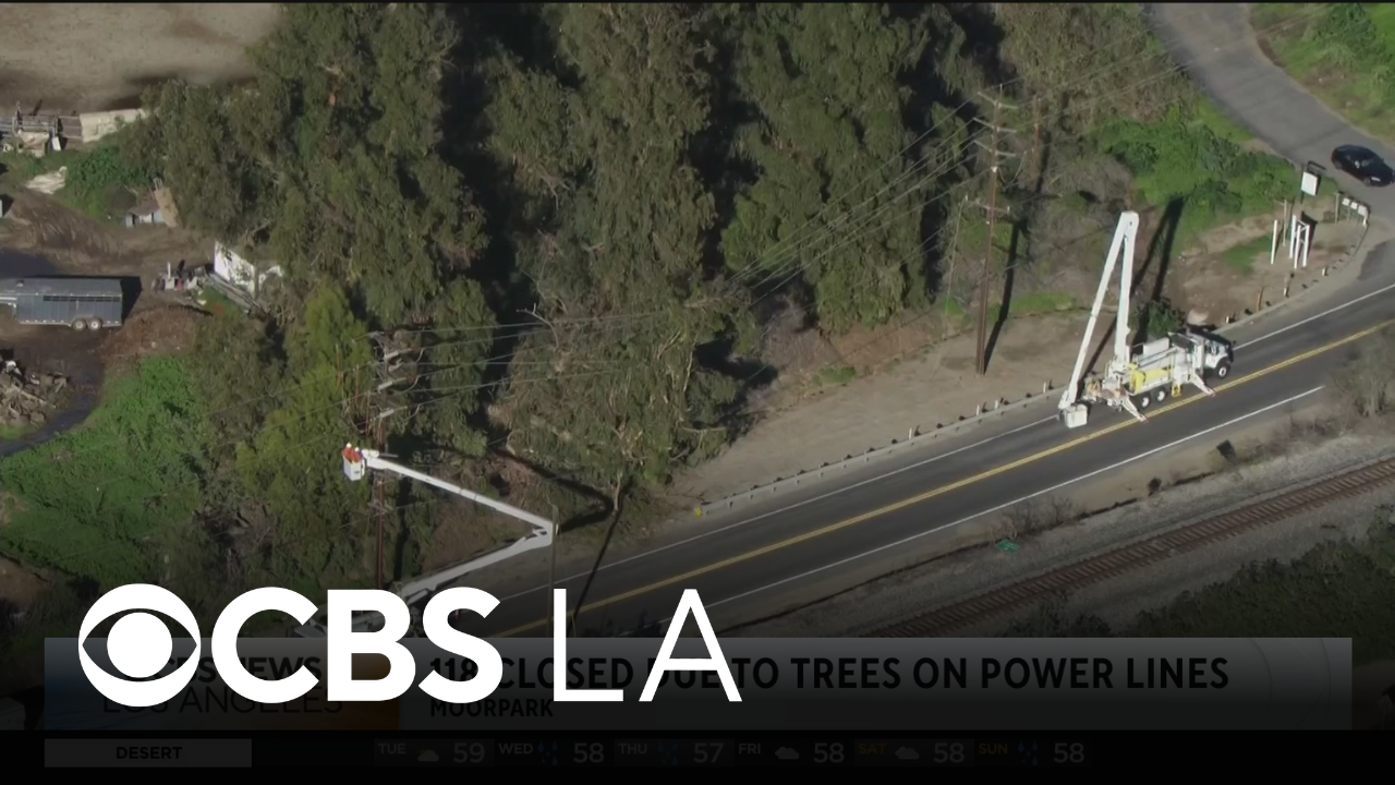 Strong winds topple trees, force closure of SR-118 in Moorpark