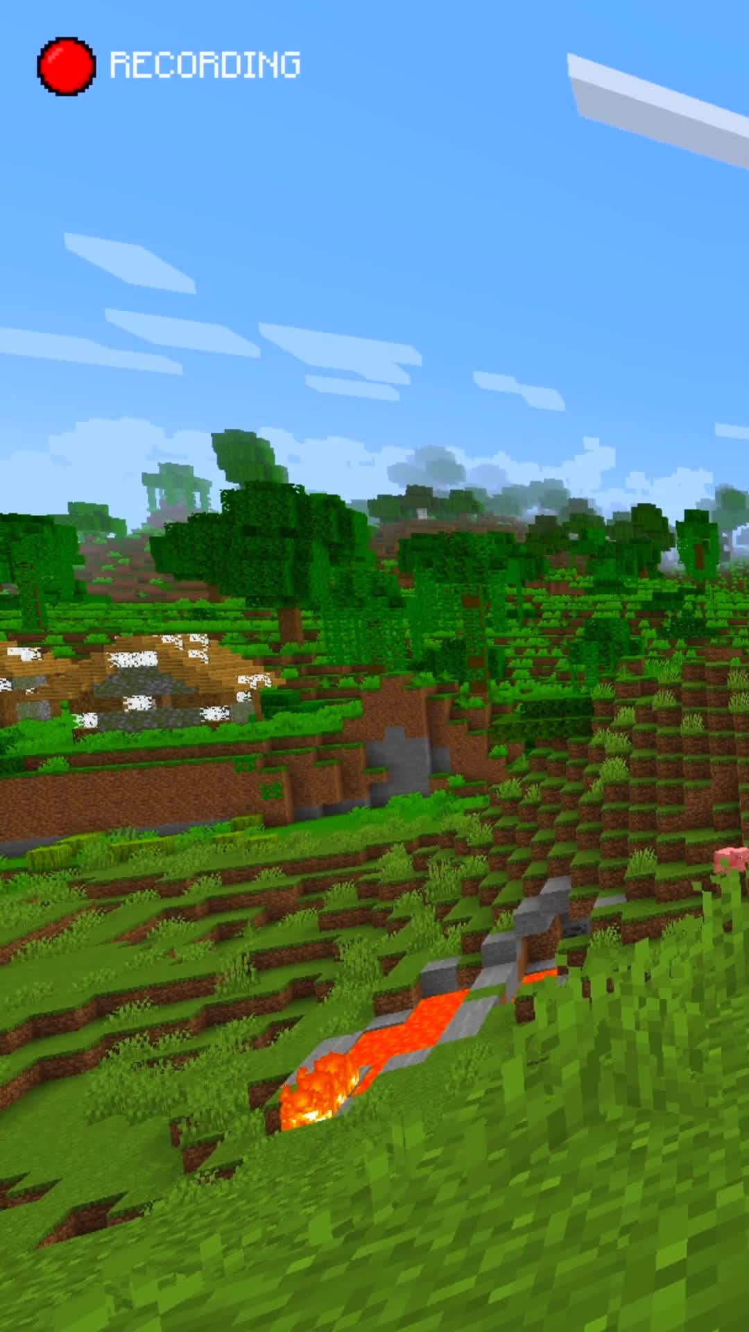 El video más controversial que hice en Minecraft 😎👍