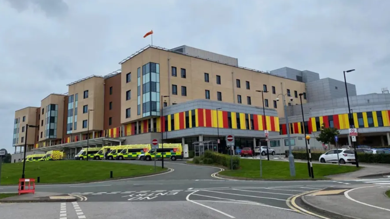 'Inspirational' chief nurse awarded OBE