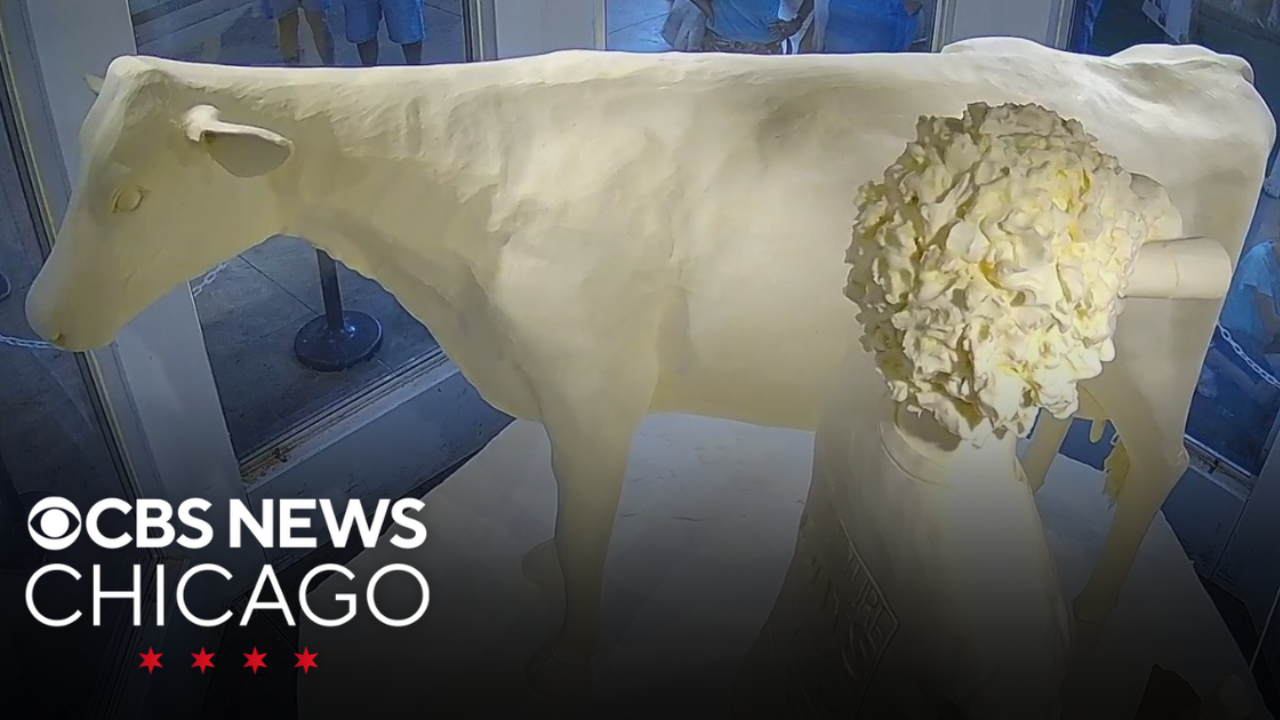 2026 Illinois State Fair will use digital tickets