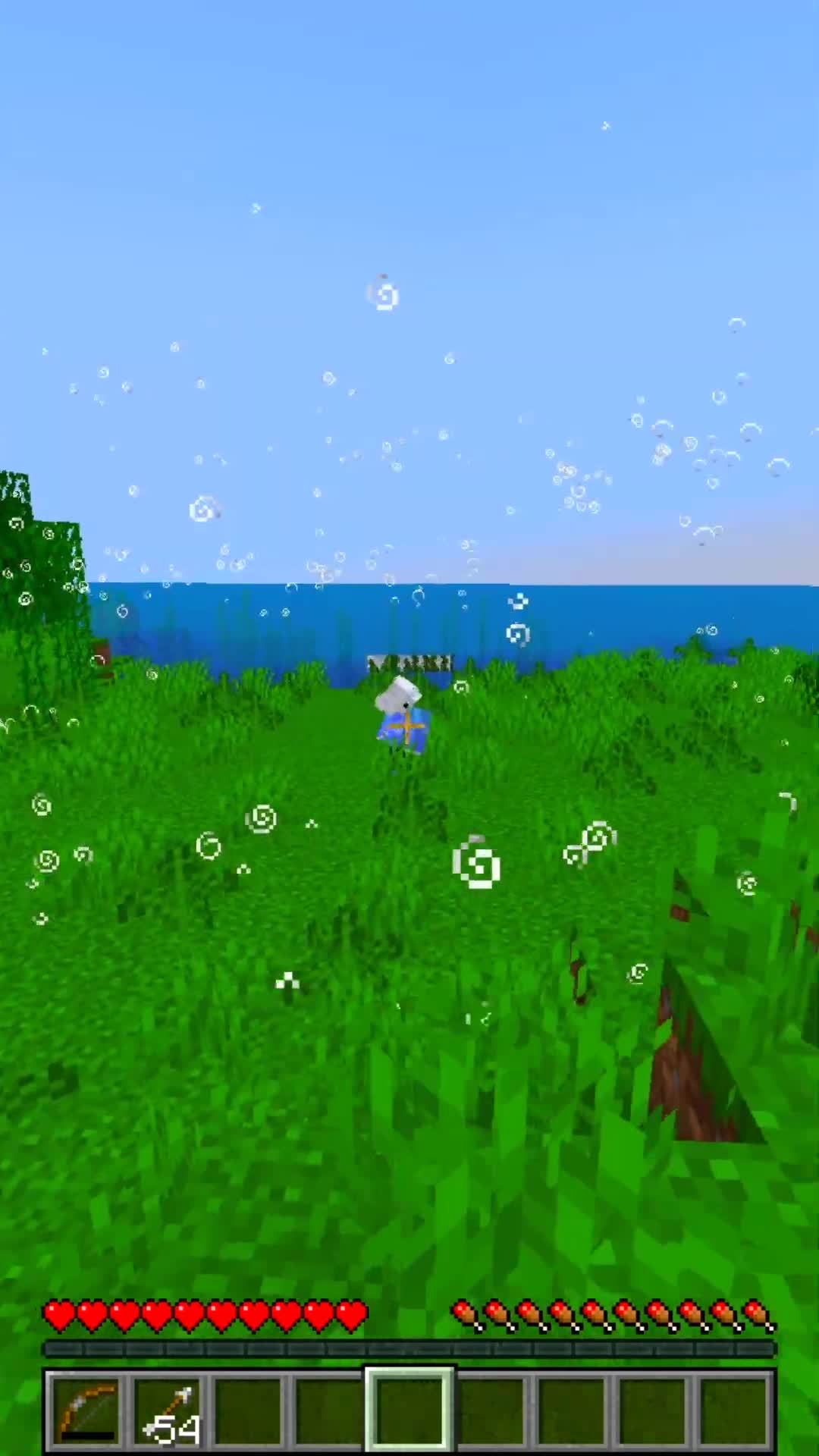 La habilidad de aire en Minecraft 😎👍