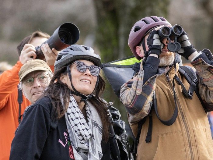 Here's why bird watchers have been flocking to Vancouver's West End