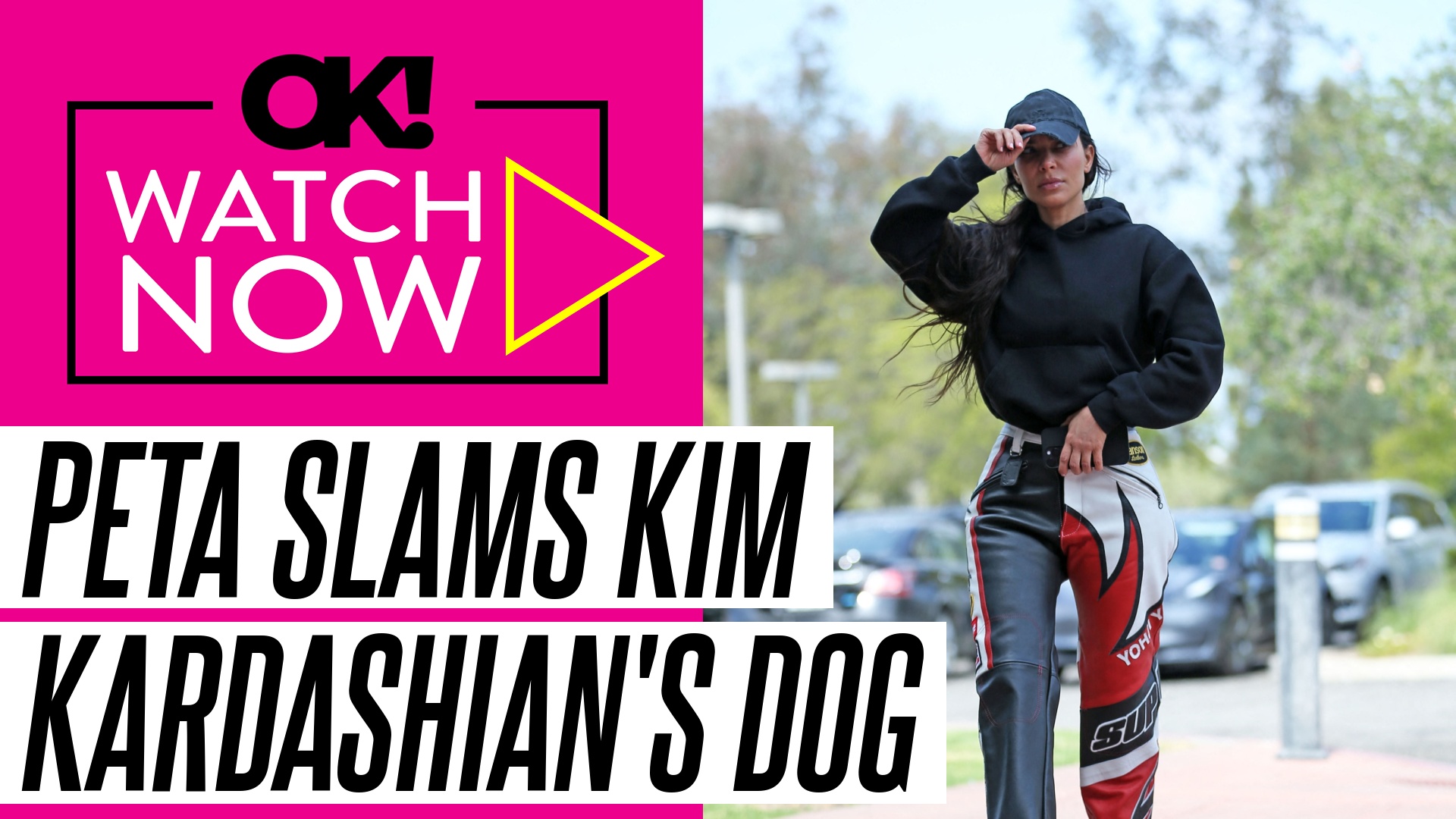 Kim Kardashian called out by PETA for gifting her kids 4 dogs for ...