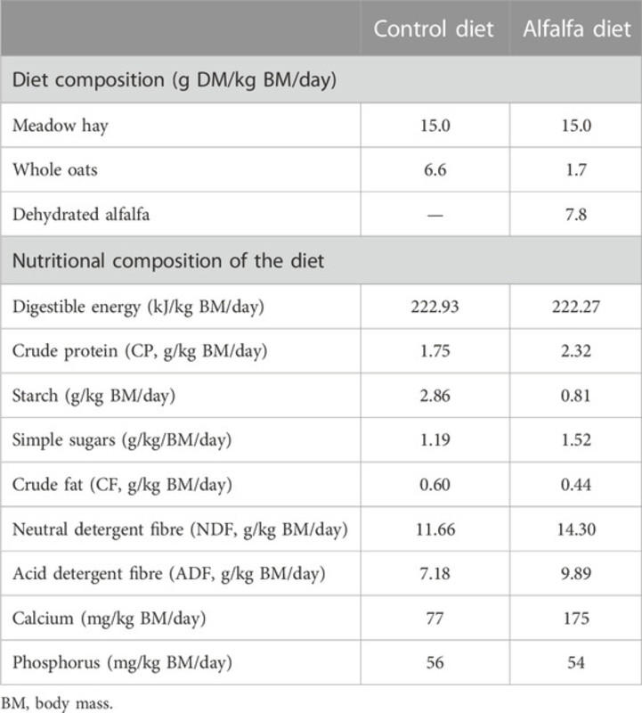 High-fiber diets: Can they reduce lactic acid buildup in racehorses?