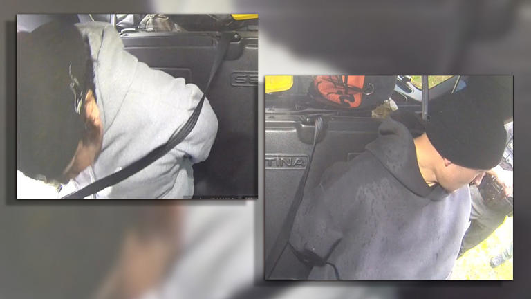 2 arrested in Mason County, WA home burglary