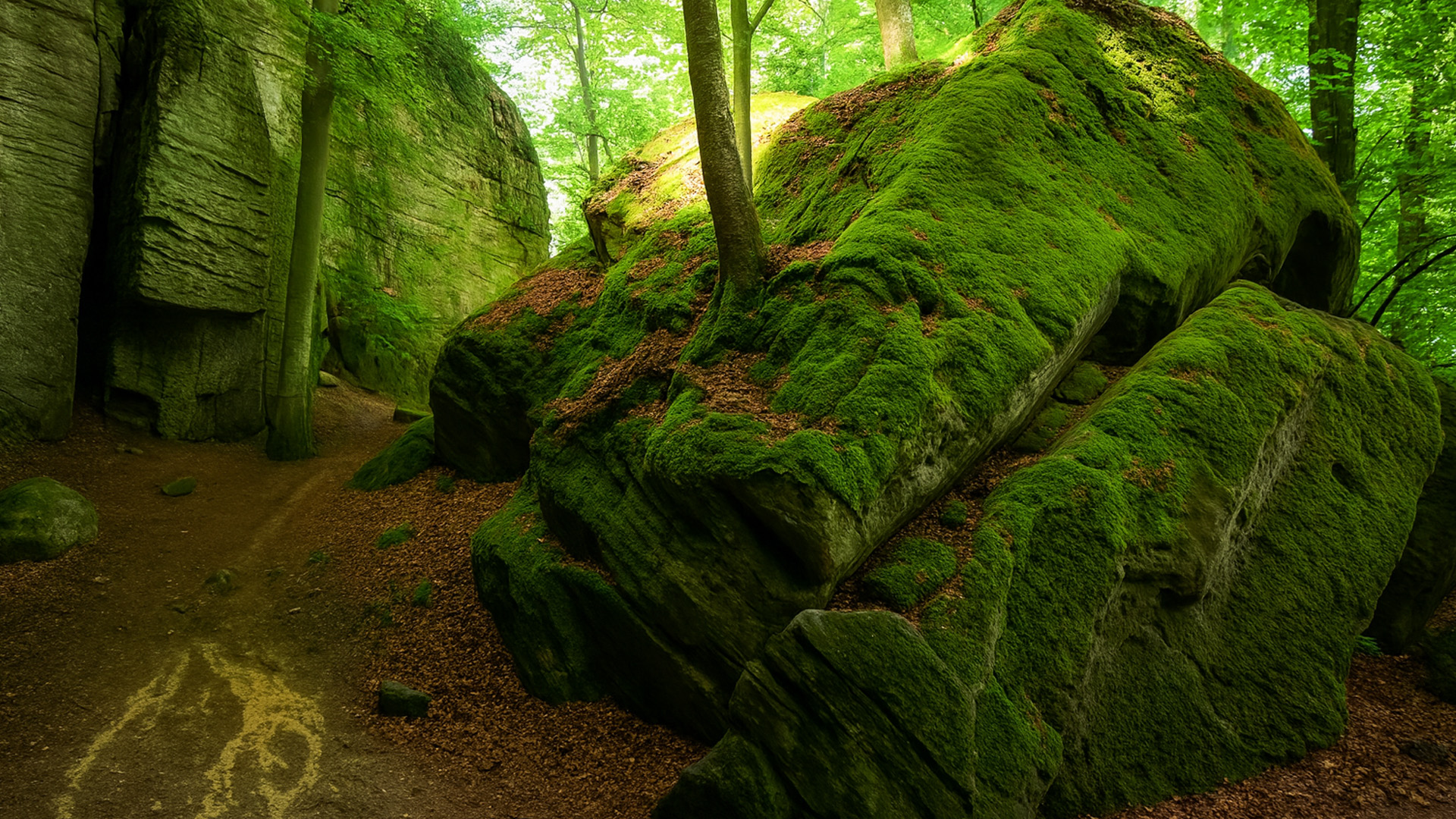 Devil’s Gorge in Germany: Hiking Teufelsschlucht in the Eifel