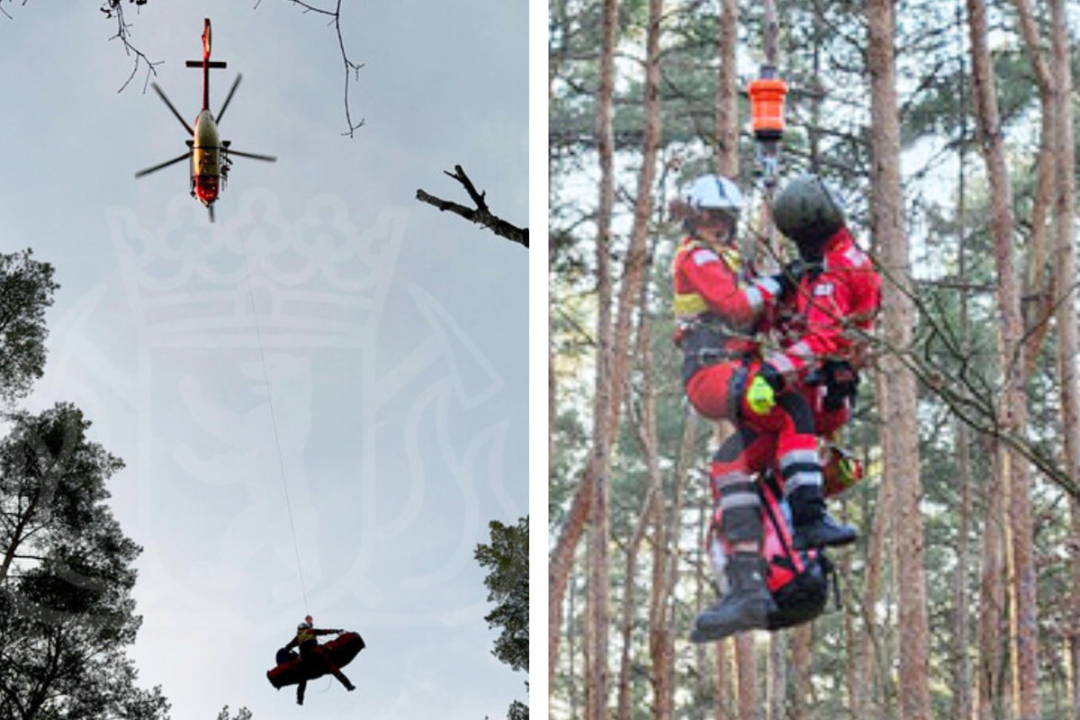 Spektakuläre Rettung im Spandauer Forst: Notärztin aus Helikopter abgeseilt
