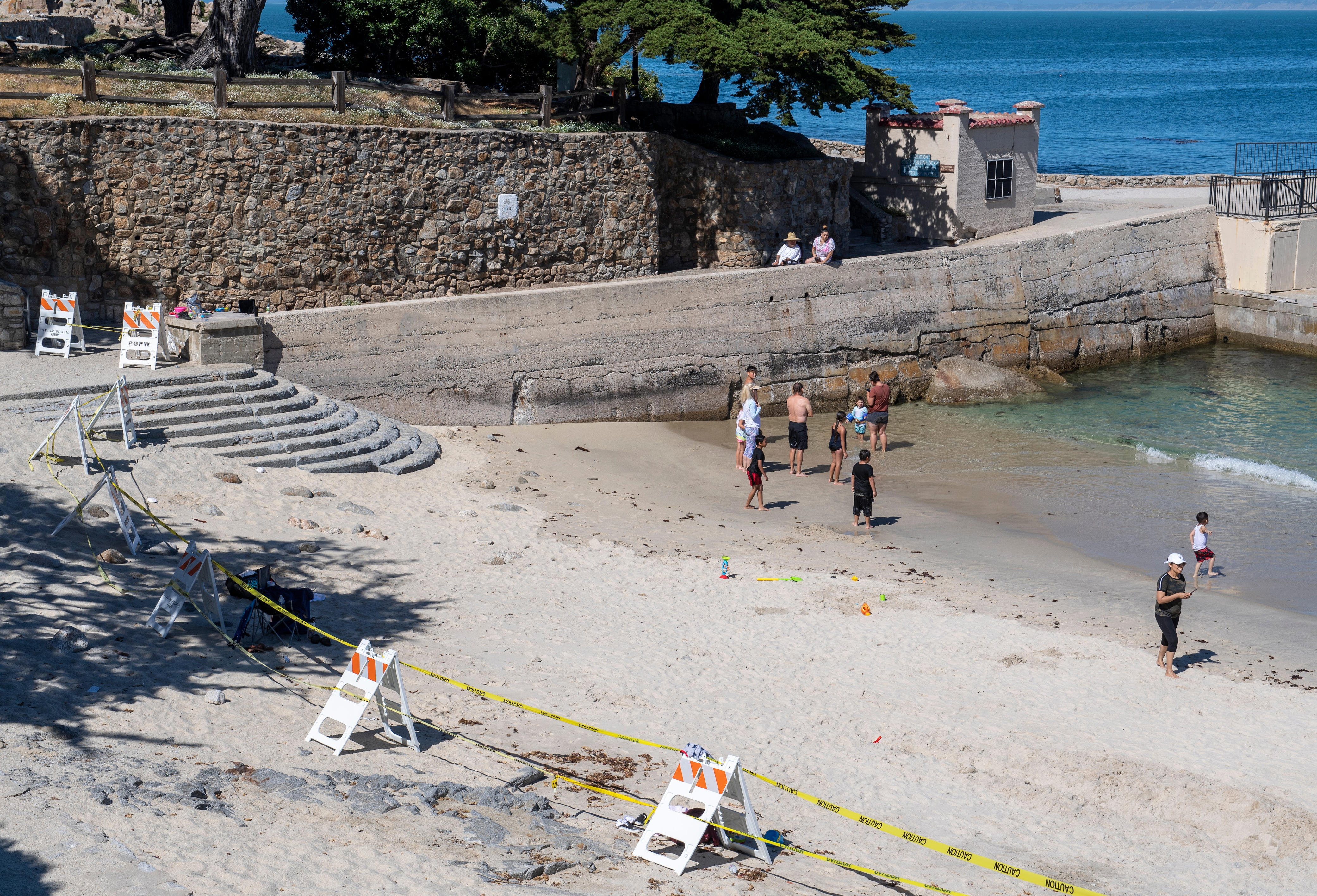 Coroner confirms shark killed triathlete Erica Fox in Monterey Bay