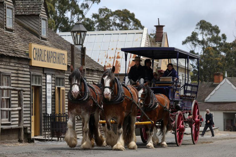Soaring prices spark Australia gold rush for new generation of fortune ...