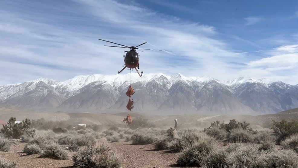 California to use helicopters to place GPS trackers on deer, elk, wolves