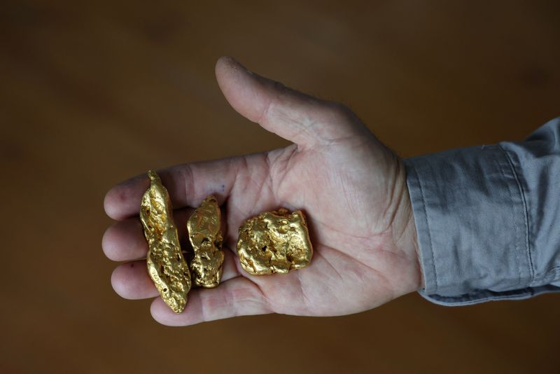 Soaring prices spark Australia gold rush for new generation of fortune ...