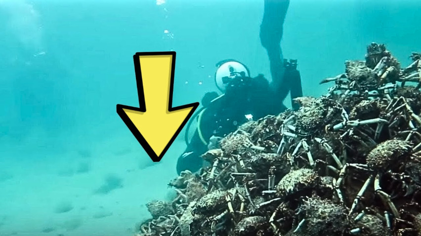 Divers discover an unusual and disturbing formation underwater