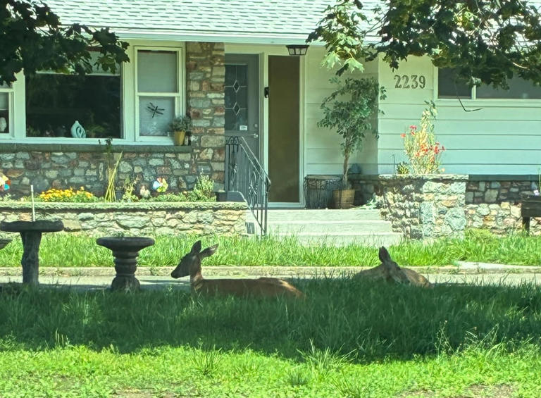 This retired BC couple escaped fire twice in 2025