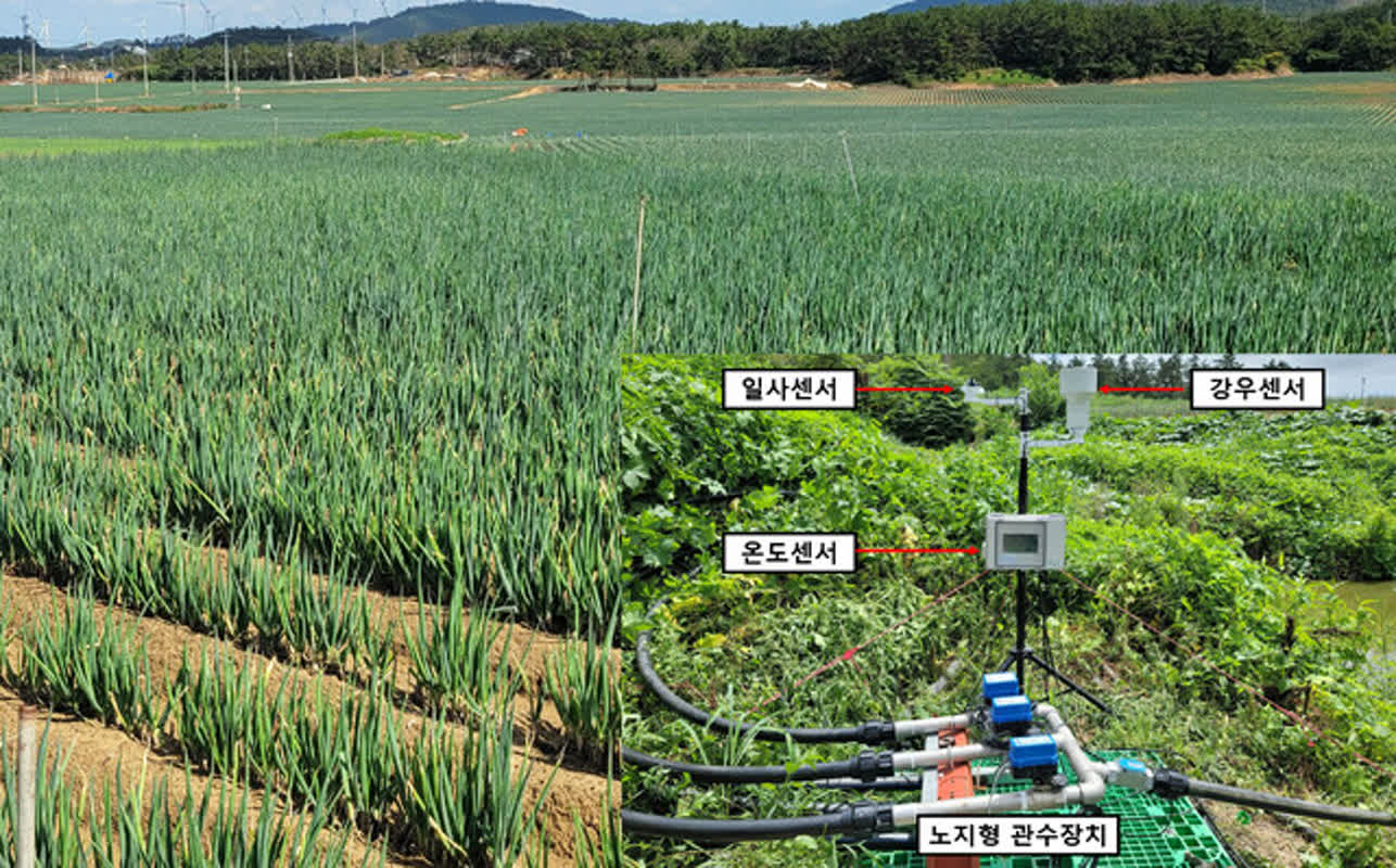 전남농업기술원, 특허기술 민간 이전 성과 가시화…농가·기업 '윈윈'