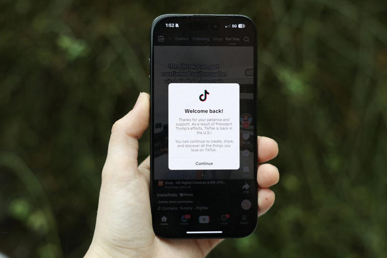 'People's bid' to buy TikTok just got a helping hand from Reddit founder