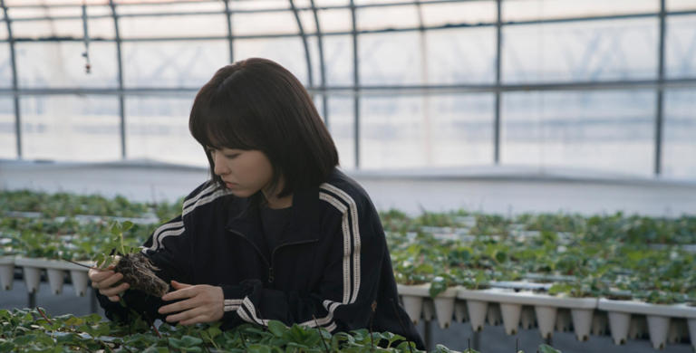 K-drama shift: Female duos to male-male chemistry, historical epics