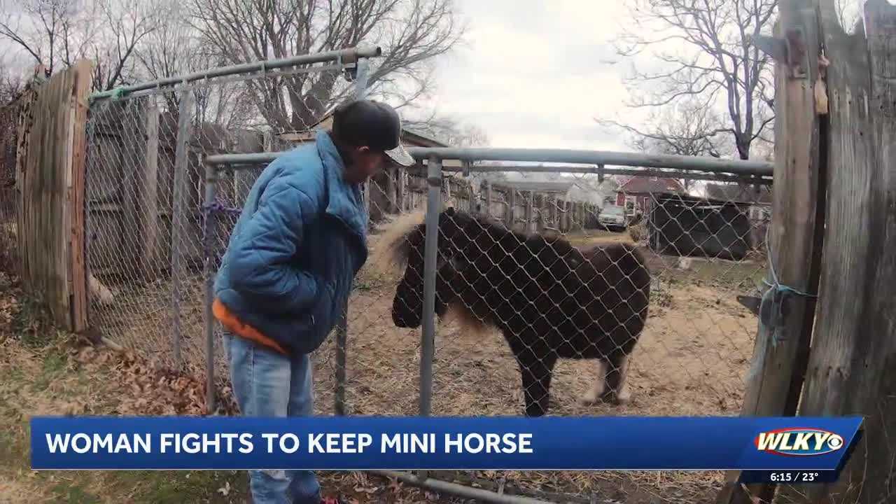 Louisville woman fights to keep miniature horse amid ordinance changes