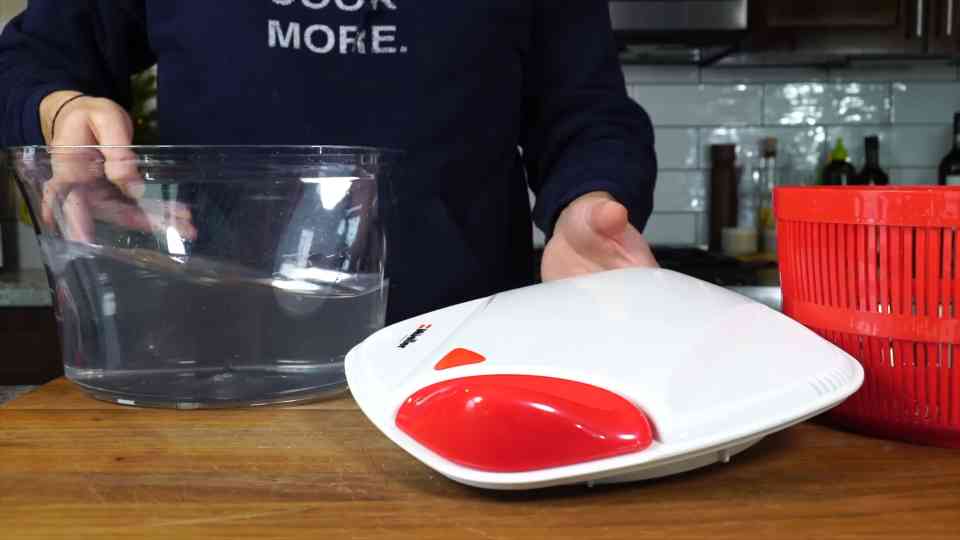 Short rib agnolotti del plin