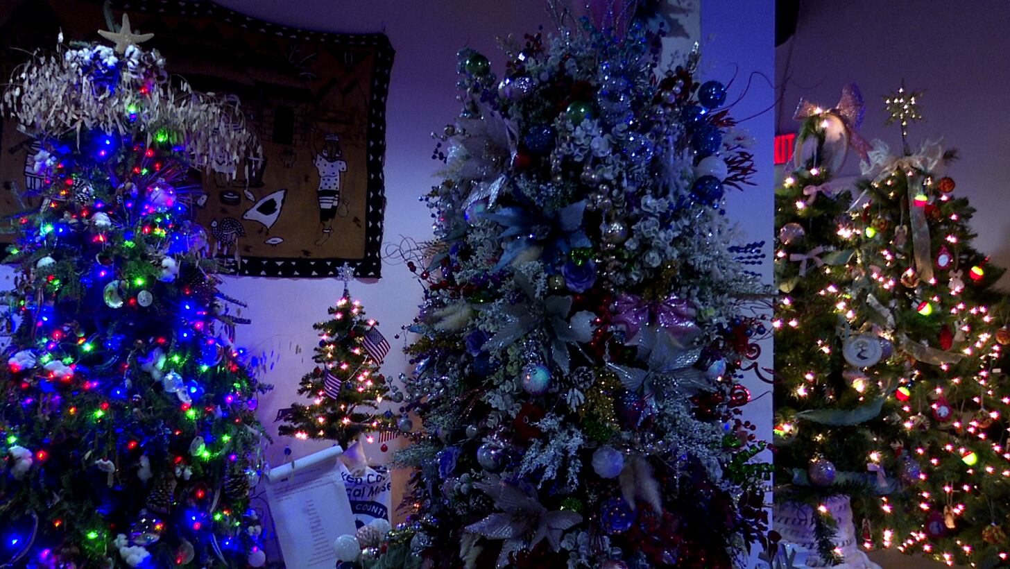 Lota Lambda Zela takes first in Aiken’s 2025 Festival of Trees