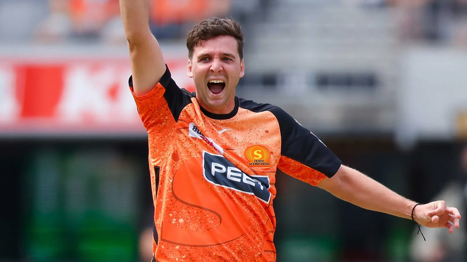 IPL 2026: 3 players RCB can sign to replace Josh Hazlewood if he misses out