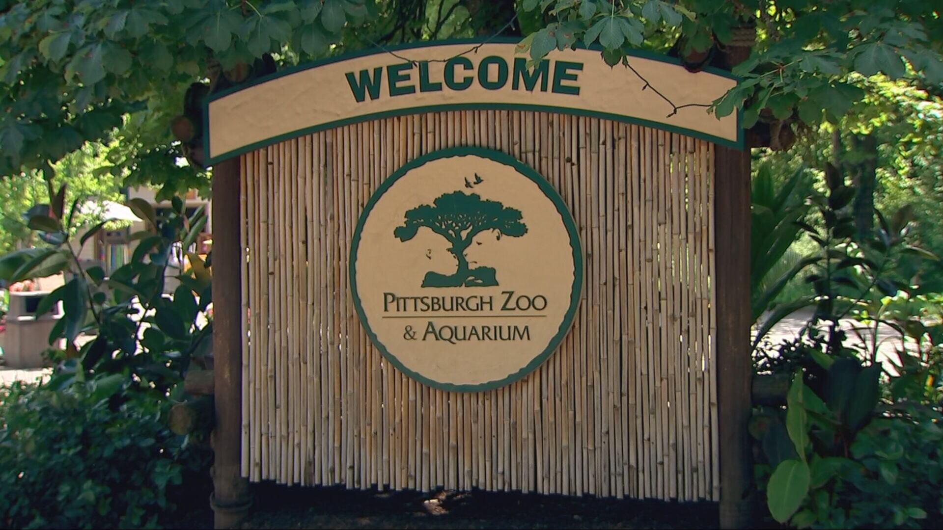 Court orders advance animal rights group’s lawsuit against Pittsburgh ...