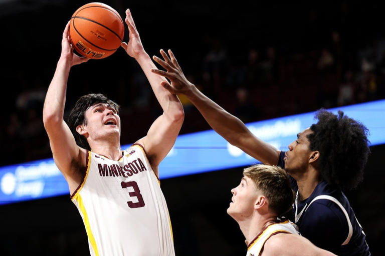 Bobby Durkin pours in 19 as Minnesota handles Fairleigh Dickinson