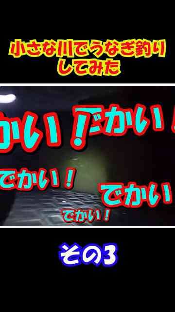 海と繋がる小川での釣り体験 Part 3