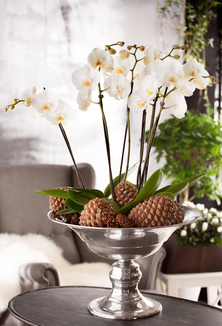 Konec roku ve stylu glamour: Jak v těchto dnech dodat výrazný šarm ...