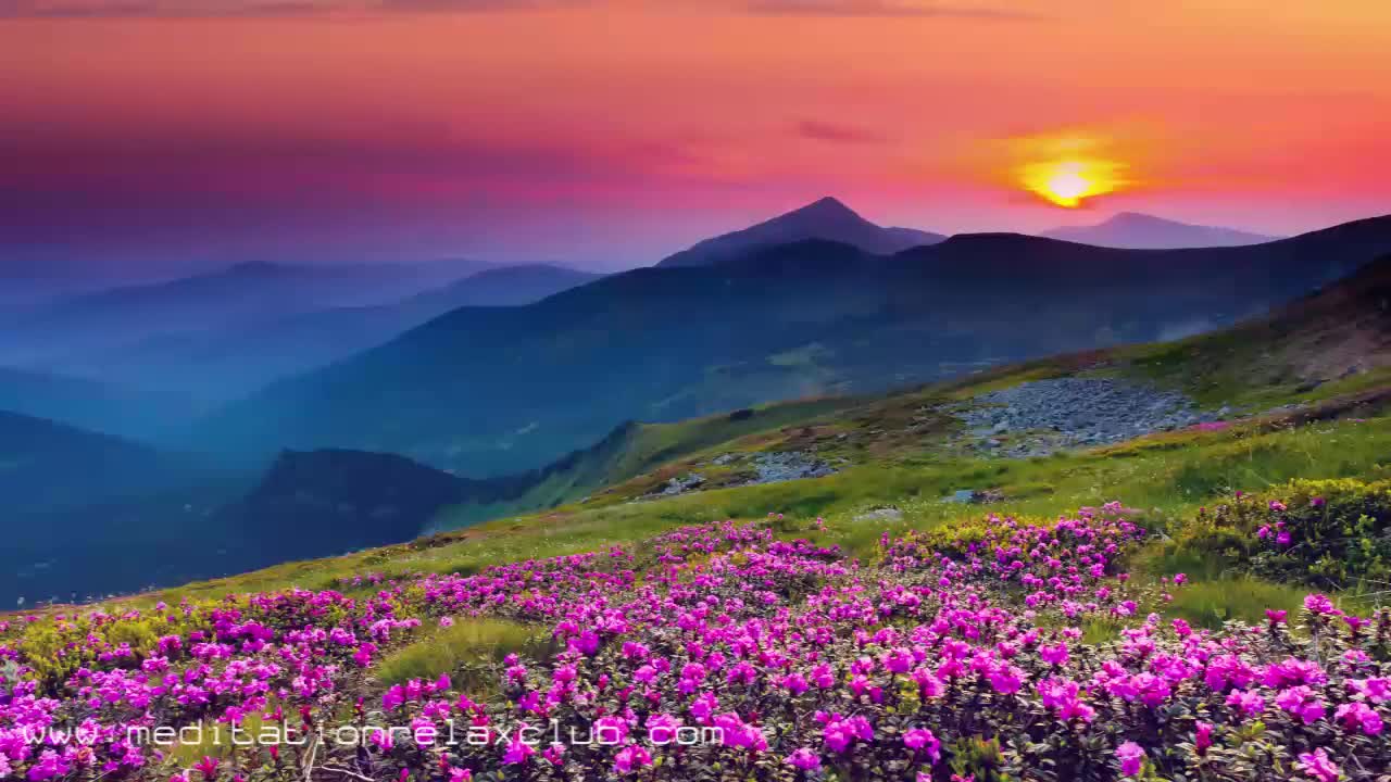 Calming music 🌺 deep relaxing sounds, for meditative power, inner therapy