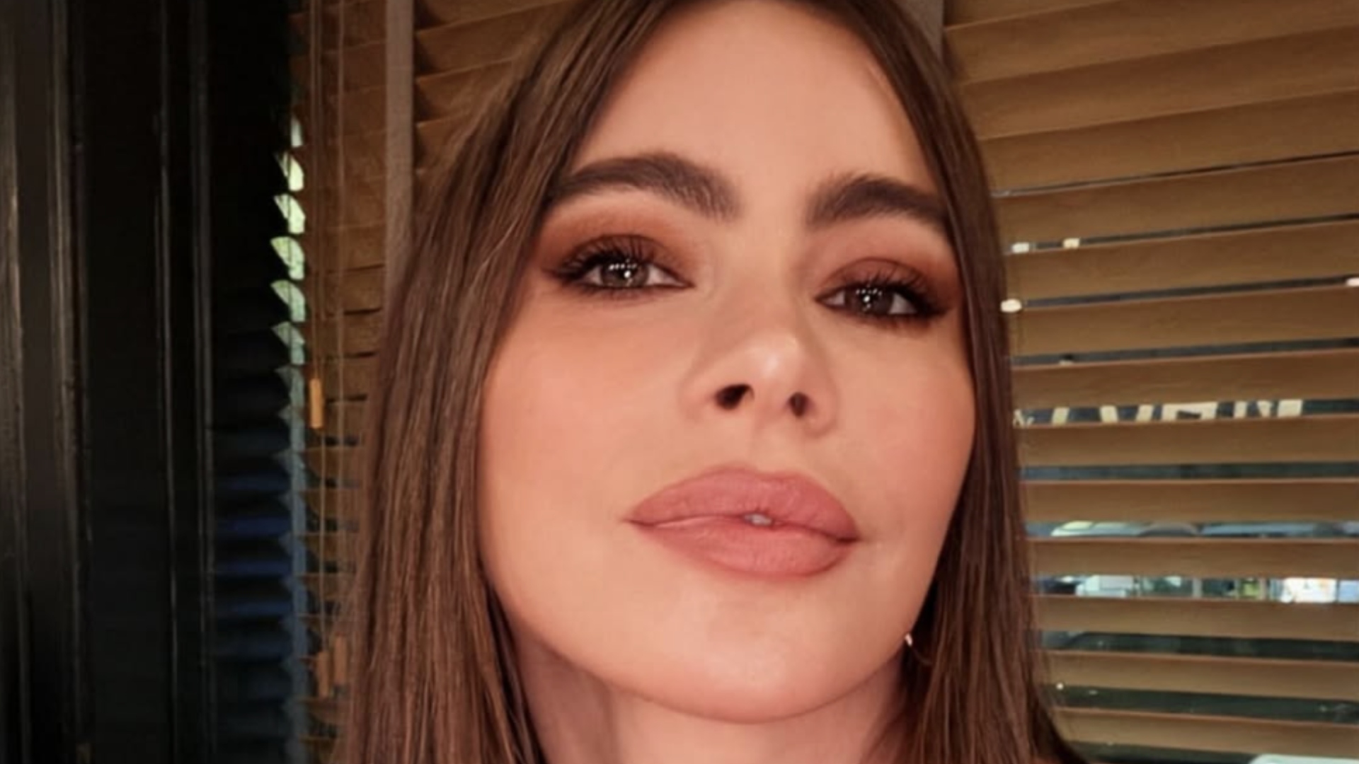 «Hun eldes vakkert»: Sofia Vergara stråler i et minimalistisk og ...