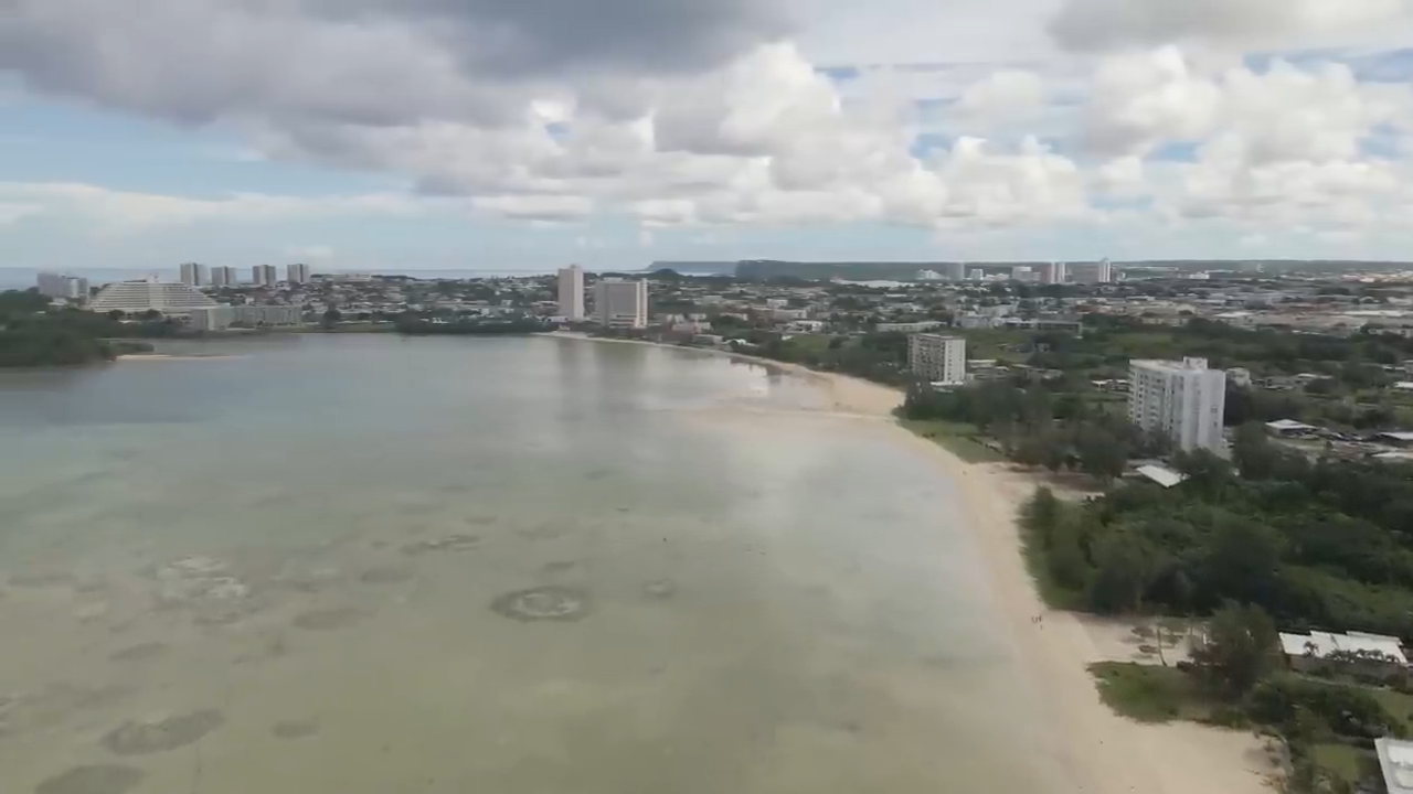 The four countries where iconic animals simply do not exist