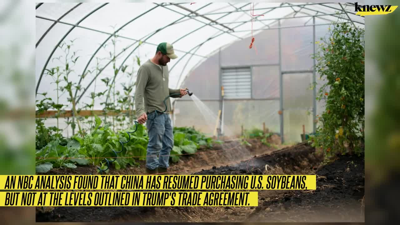 Trump bailout ripped as 'band-aid on an open wound'