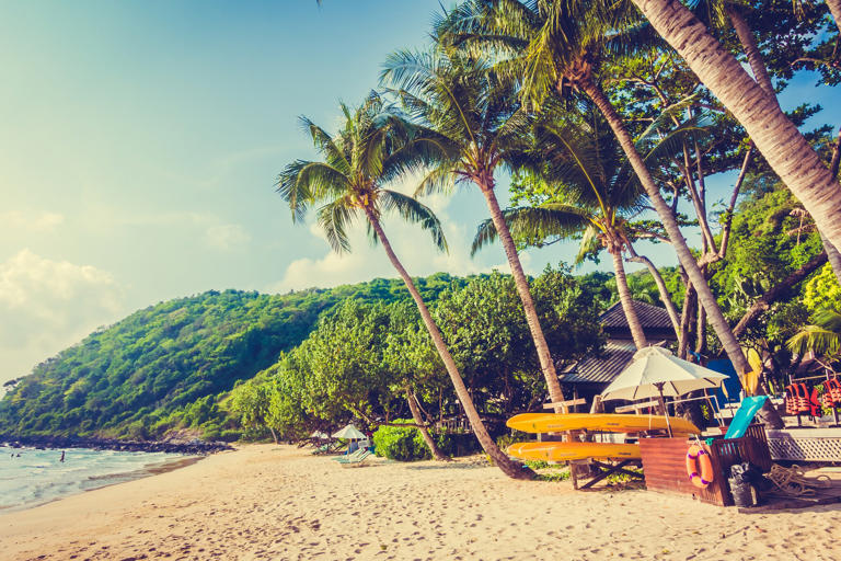 Things to do in North Goa: Beaches, nightlife, sightseeing and offbeat ...