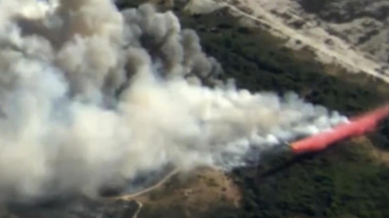 Surprise reason bushfire fighting efforts stopped