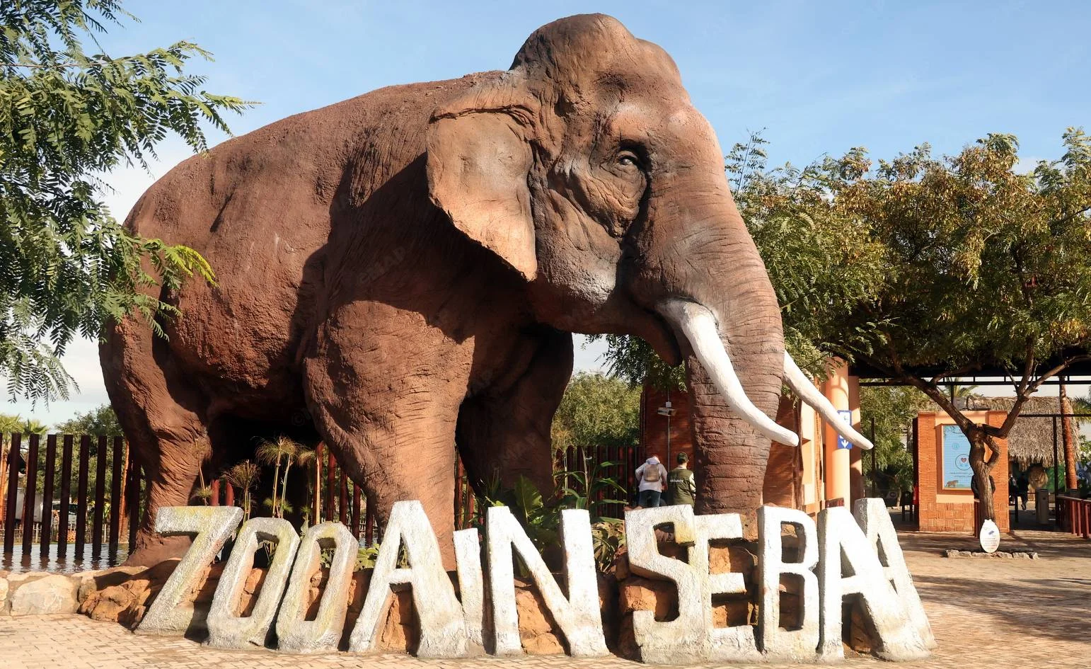 Casablanca’s Ain Sebaa Zoo reopens to the public after major revamp