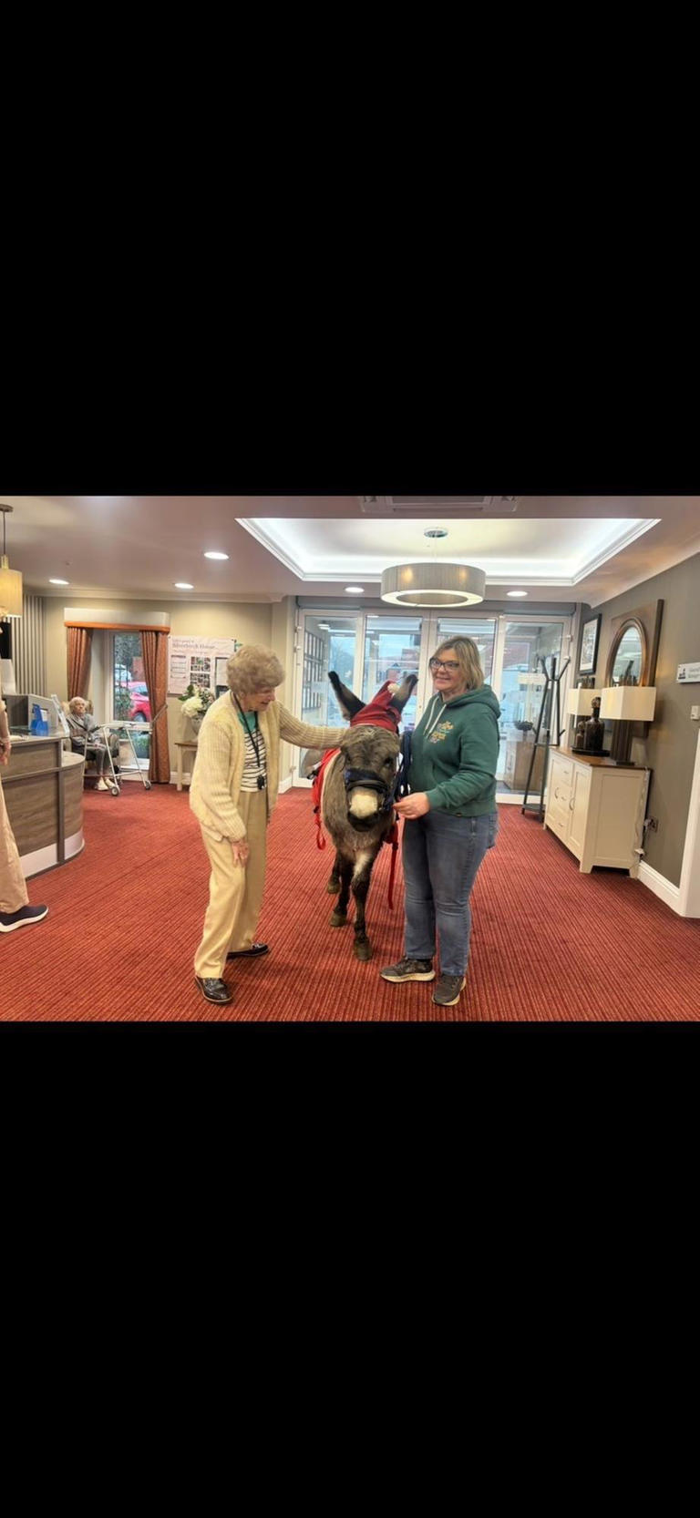 Andy the donkey visits Surrey care home