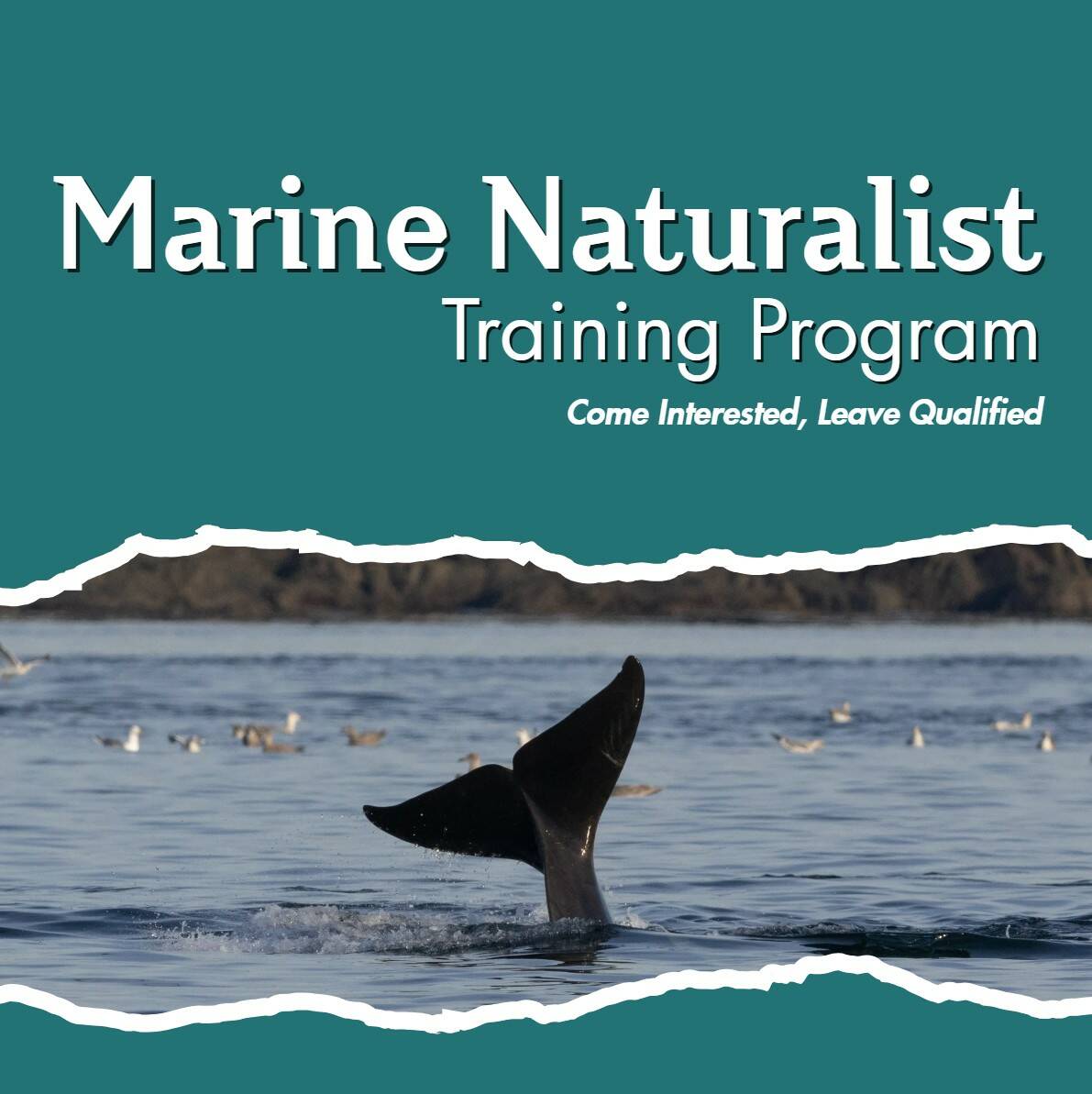 Registration open for marine naturalist training program