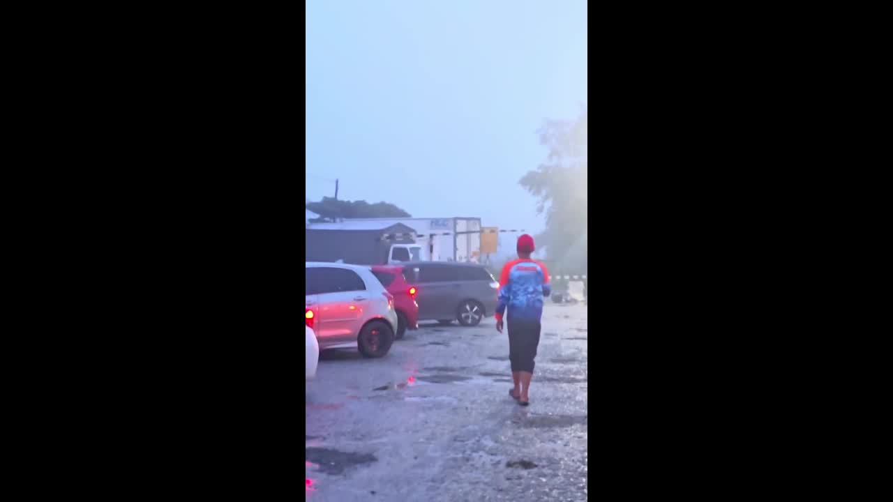 Wild elephant attacks car as driver sleeps inside