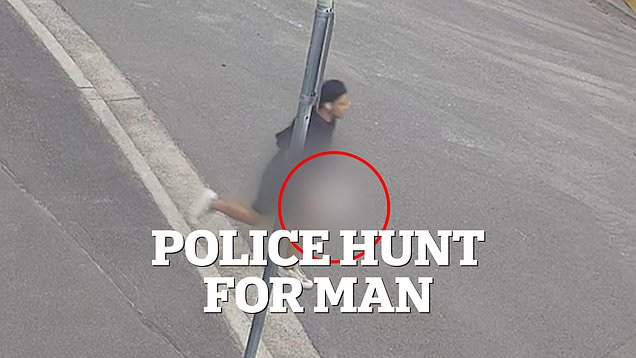 Manhunt underway after man allegedly threatened driver with cleaver
