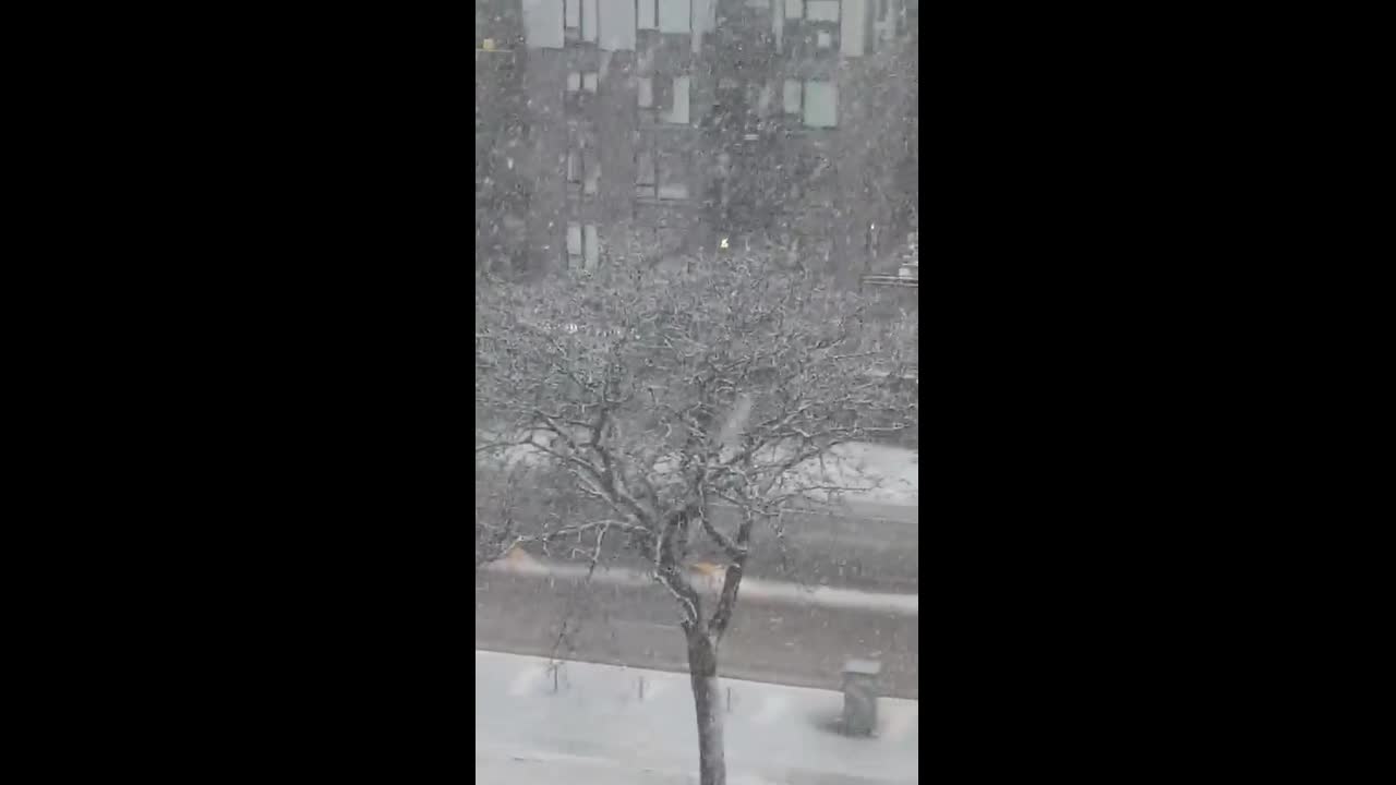 Heavy snowfall during bomb cyclone in downtown Minneapolis, Minnesota, USA