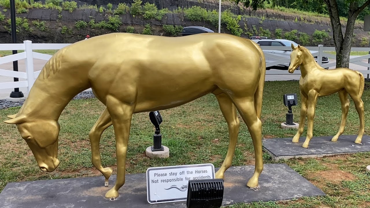 Road trip to northern Michigan | Scenic views & adventure