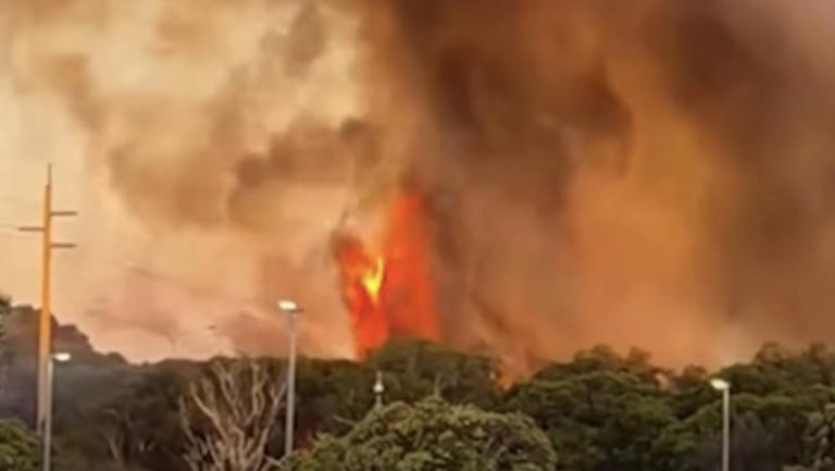 Surprise reason bushfire fighting efforts stopped
