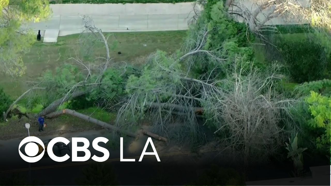 Strong Santa Ana winds cause damage across Southern California