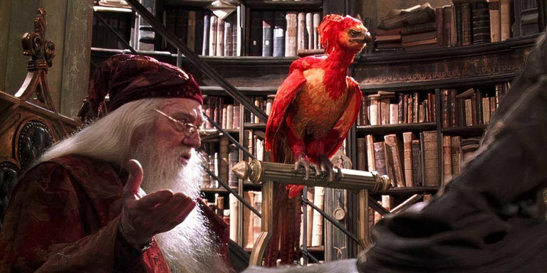 Dumbledore's greatest Harry Potter quote is still the best in fantasy