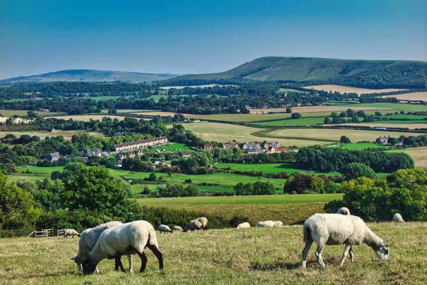 Thousands of new homes set to be built in the South Downs National Park