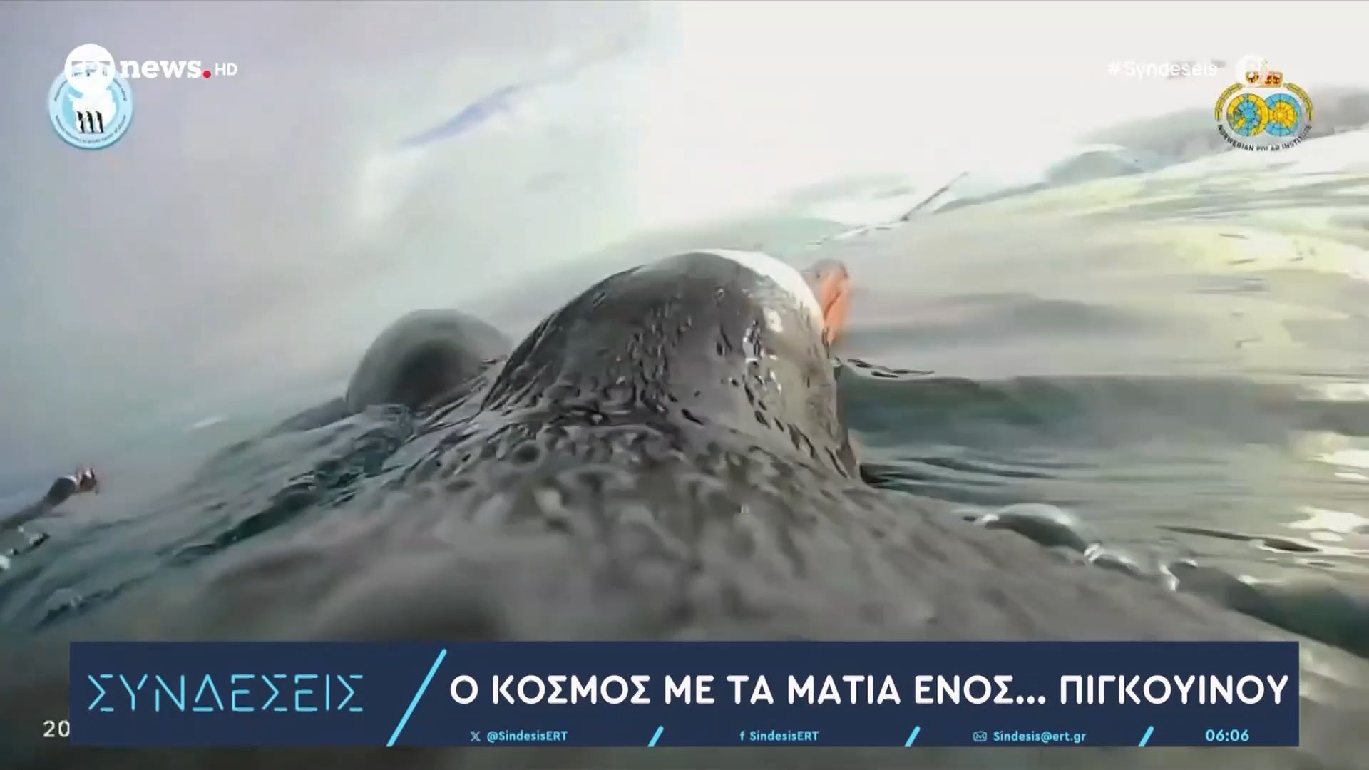 Ο κόσμος με τα μάτια ενός... πιγκουίνου